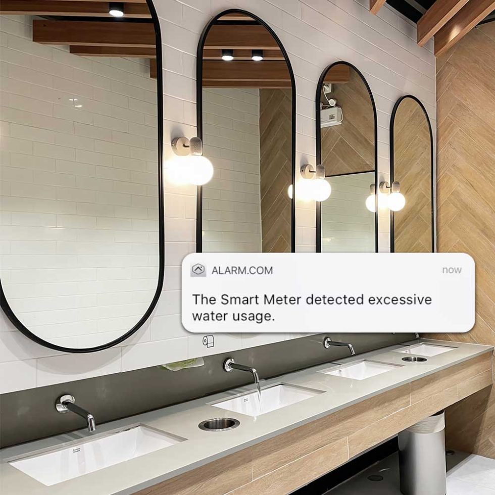 Security | Datasmart LLC & Duncan Security LLC